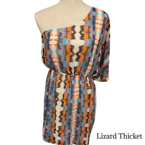 Lizard Thicket | Dresses | Lizard Thicket Dress Final Price | Poshmark